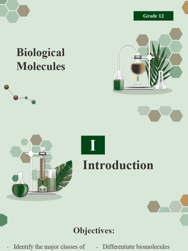 Biomolecules PPT and Activities | PDF | Biomolecules | Carbohydrates