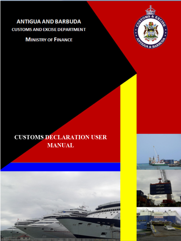 Customs Declaration User Manual | PDF | Customs | Password