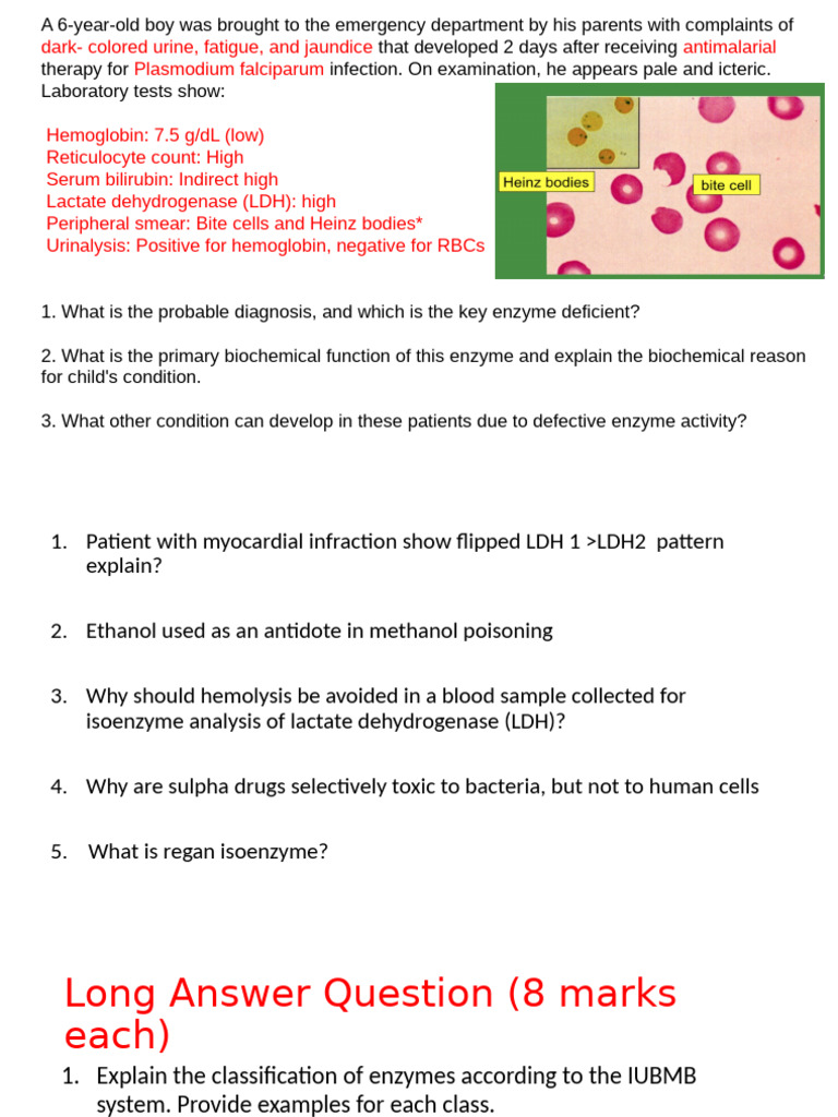 Enzymes Tutorial | PDF | Enzyme | Lactate Dehydrogenase