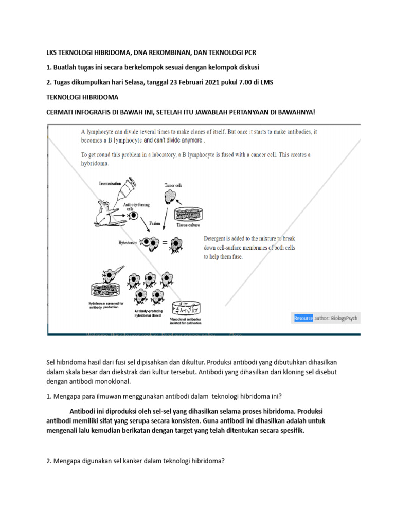 Lks Dna Rekombinan Hibridoma Pcr 240226 081202.Docx | PDF