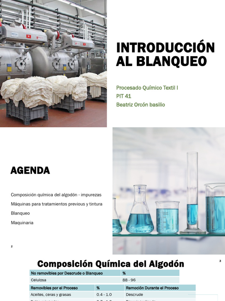 Introducción Al Blanqueo 2025-2 | PDF | Blanqueador | Hidróxido de sodio