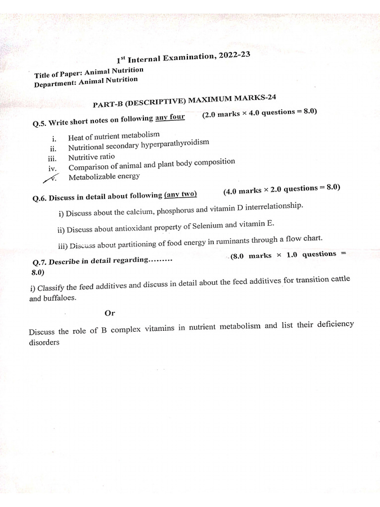 2nd Year Papers 2022-23 | PDF