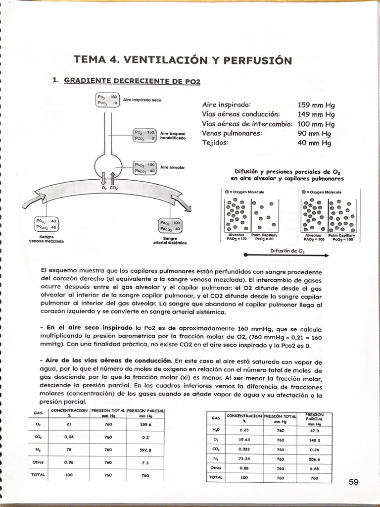 Tema 4 Respi Nuevo | PDF