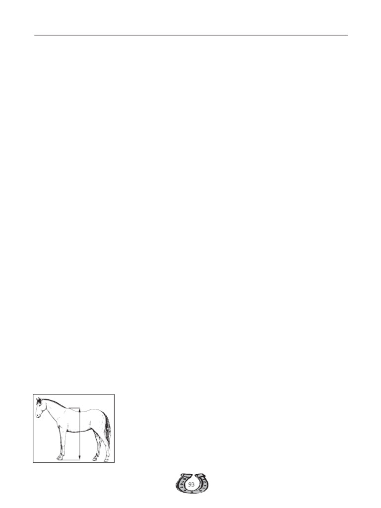 Horse Identification | PDF | Foal | Horses