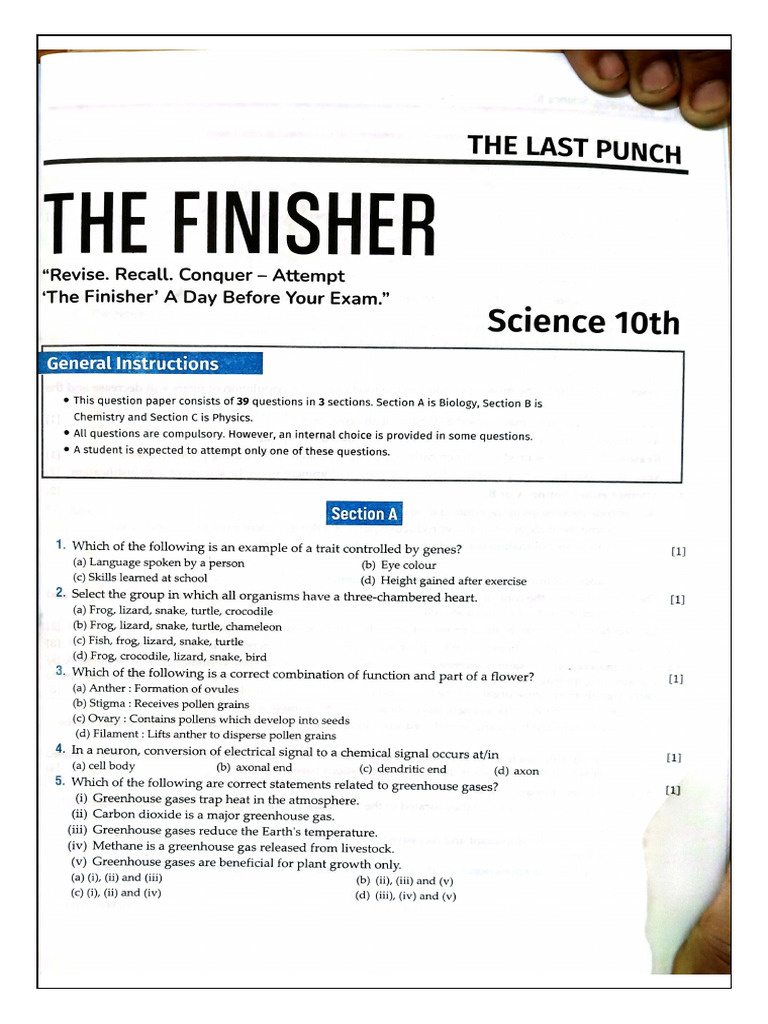 Finisher Paper | PDF
