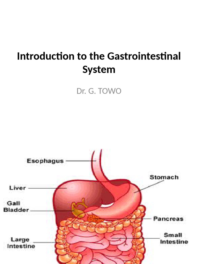 Introduction To The Gastrointestinal Tract | PDF | Digestion ...