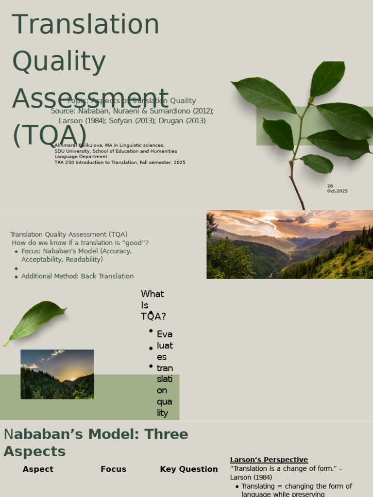 Translation Quality Assessment Overview | PDF | Translations | Linguistics