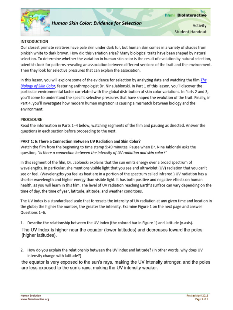 Skincolorselection studentHO Act | PDF | Human Skin Color | Ultraviolet