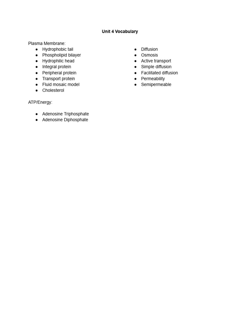 Unit 4 Vocabulary List | PDF