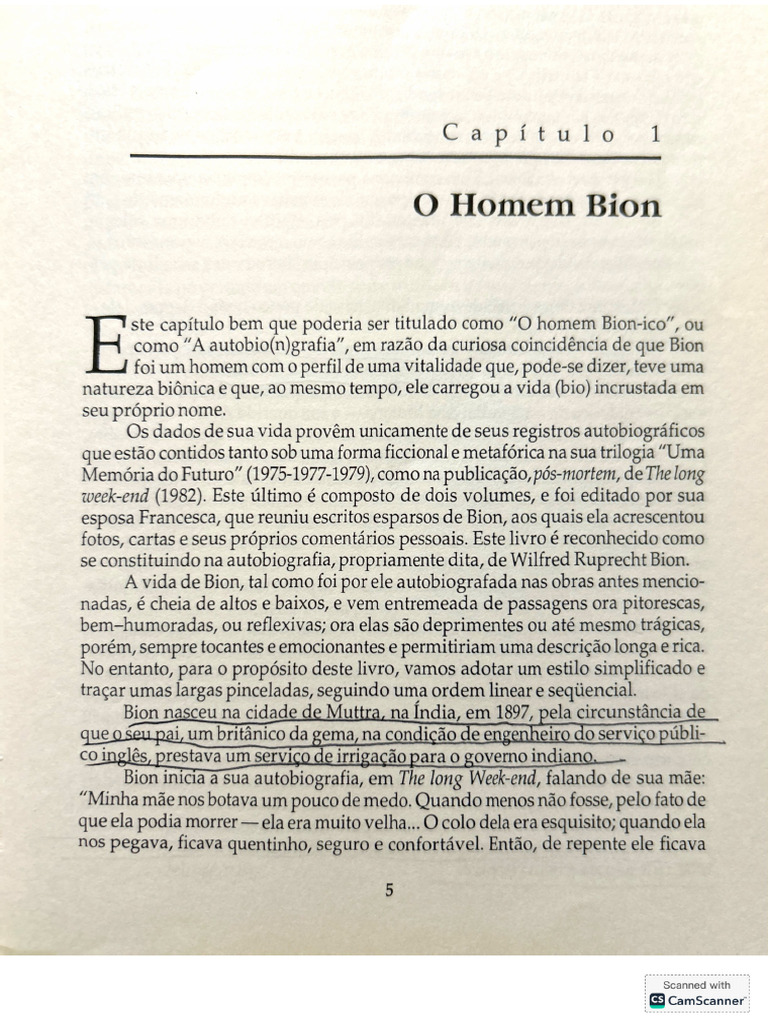 Bion - Da Teoria A Pratica. (Ziberman) | PDF