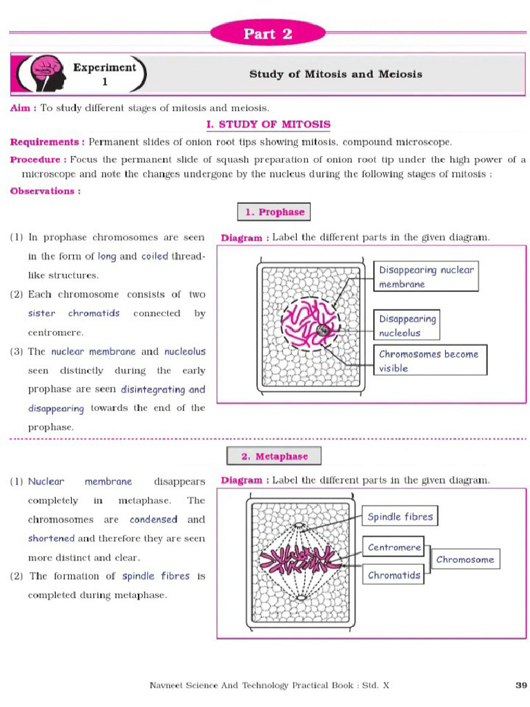 10th Science-2 Practical | PDF