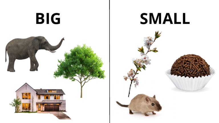 BIG Small | PDF