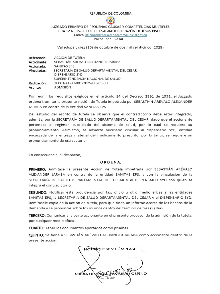04AutoAdmiteTutela2025 00765 | PDF