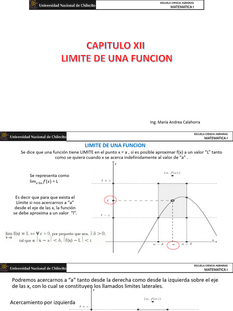 Capitulo LIMITE DE UNA FUNCION 2022 | PDF | Límite (Matemáticas ...