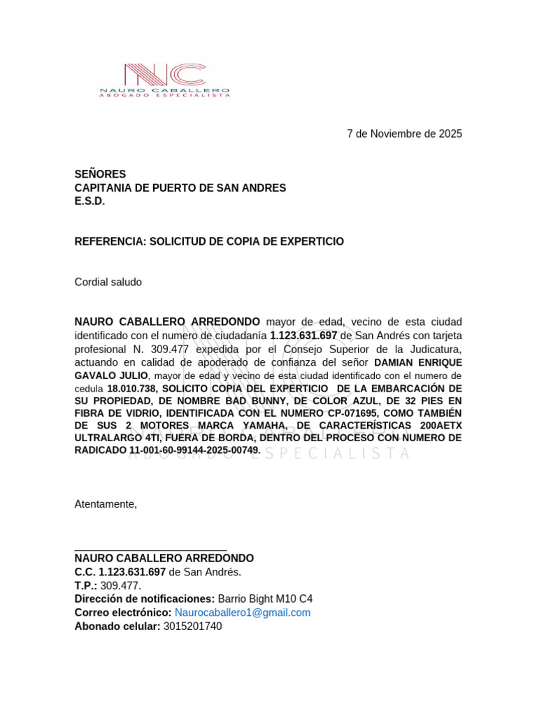 Solicitud Copia de Experticio | PDF