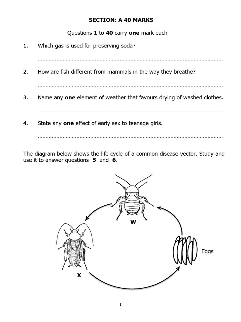Sci Mock 2014 | PDF