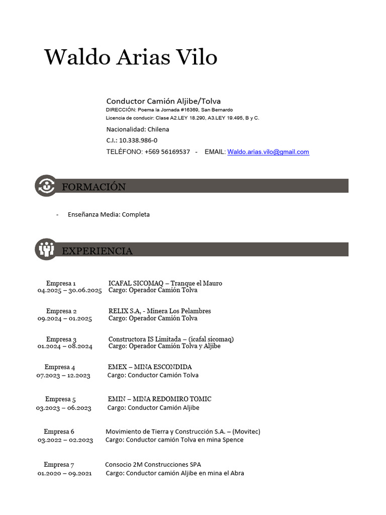CV Waldo Arias 06.2025 | PDF