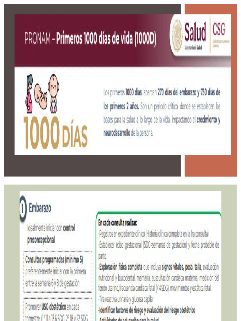 Pronam 1000dias | PDF