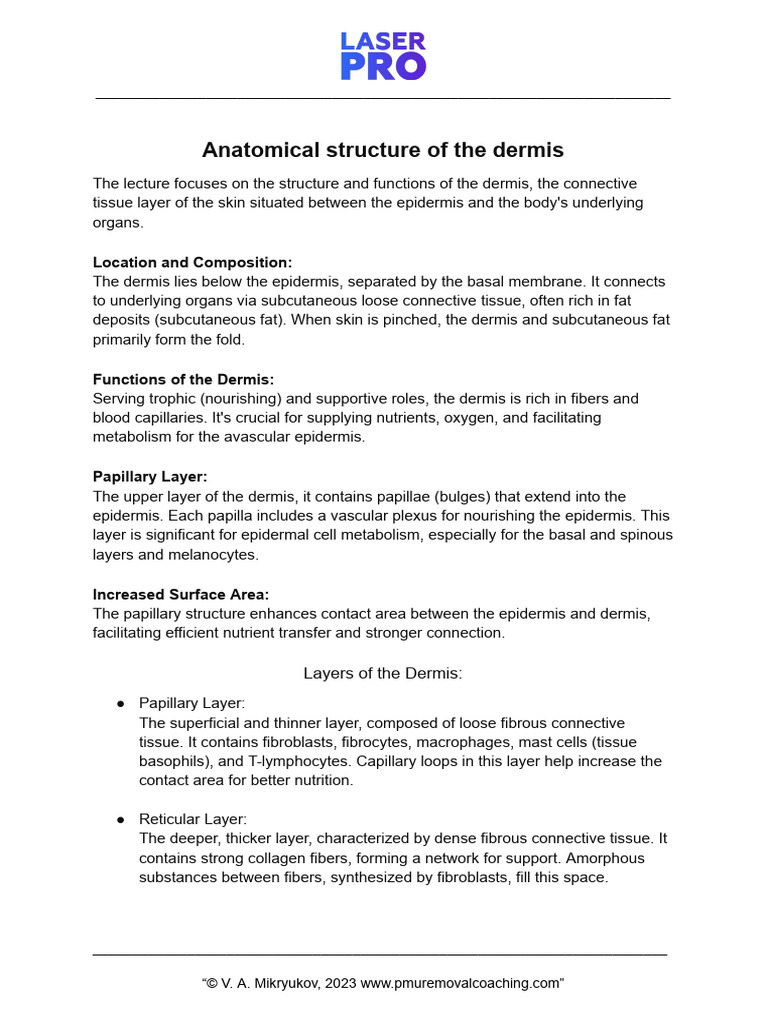 Anatomical Structure of The Dermis - 05 | PDF | Skin | Connective Tissue