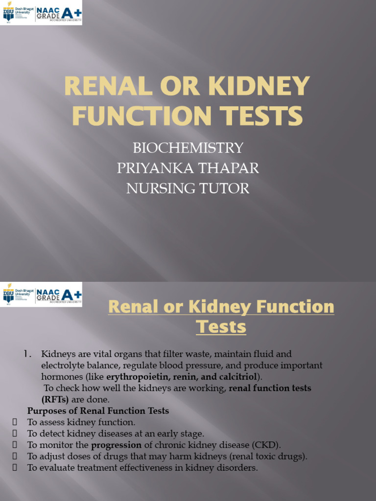 Renal Or Kidney Function Tests Pdf Kidney Creatinine