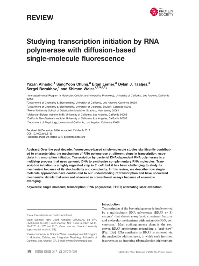 Single-molecule Transcription Initiation | PDF | Promoter (Genetics) | Dna