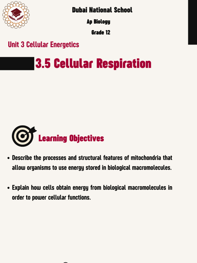3.5. Cellular Respiration | PDF