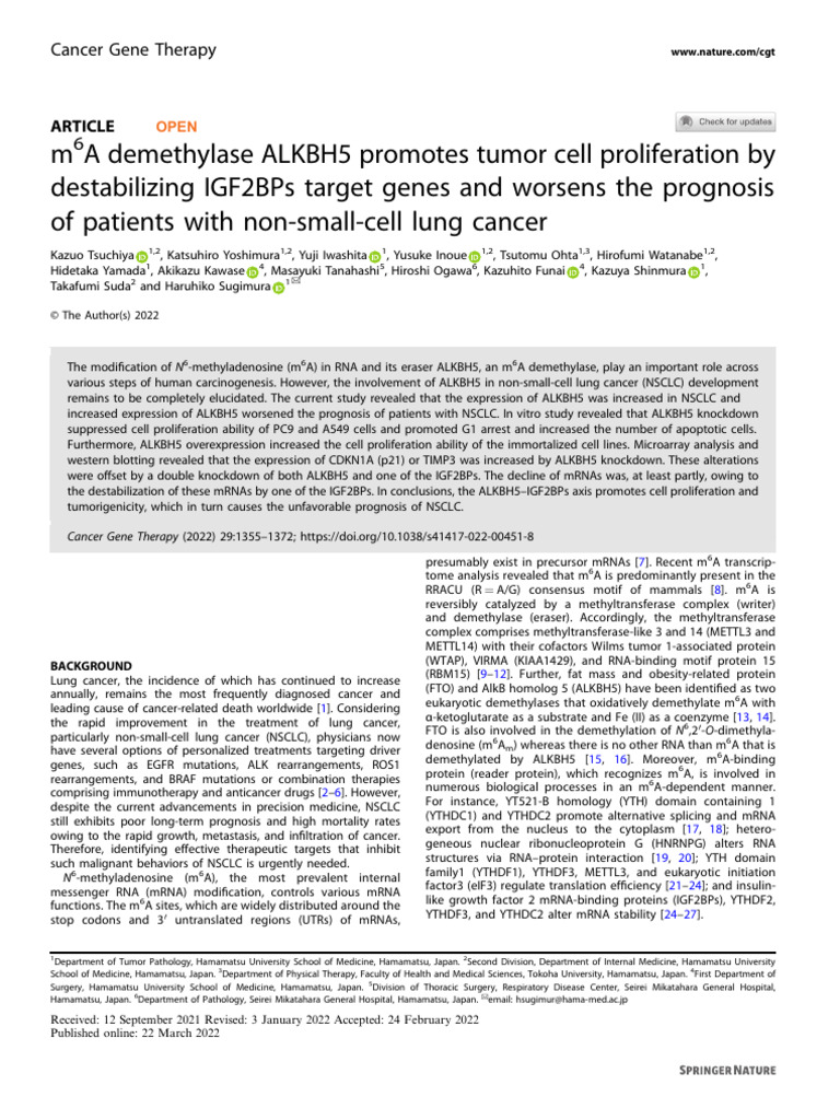 M6a Demethylase ALKBH5 Promotes Tumor Cell Proliferation by ...