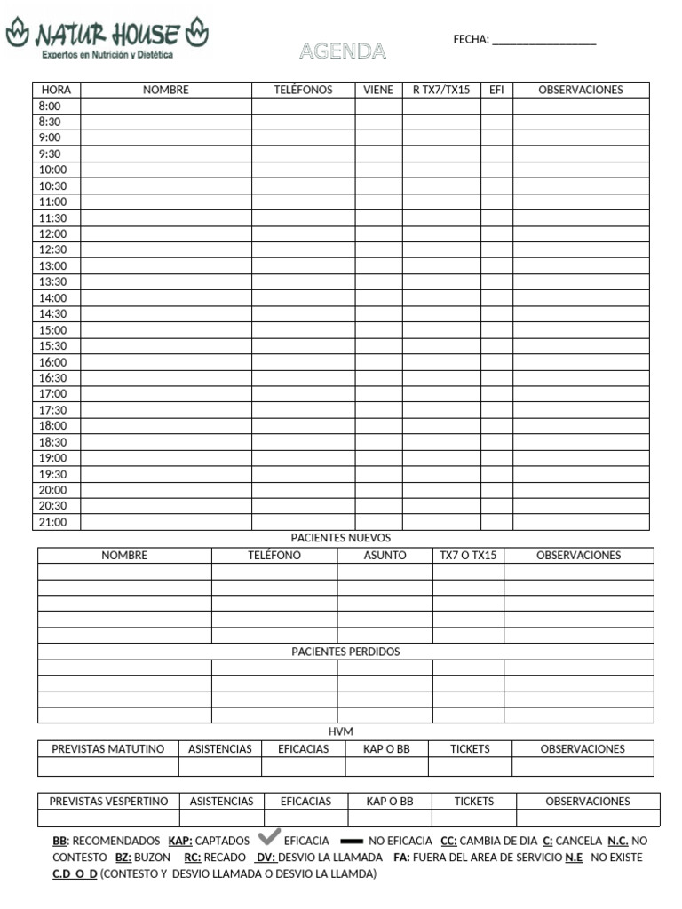 Formato Agenda Modificada | PDF