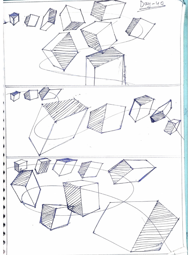 Organic Perspective | PDF