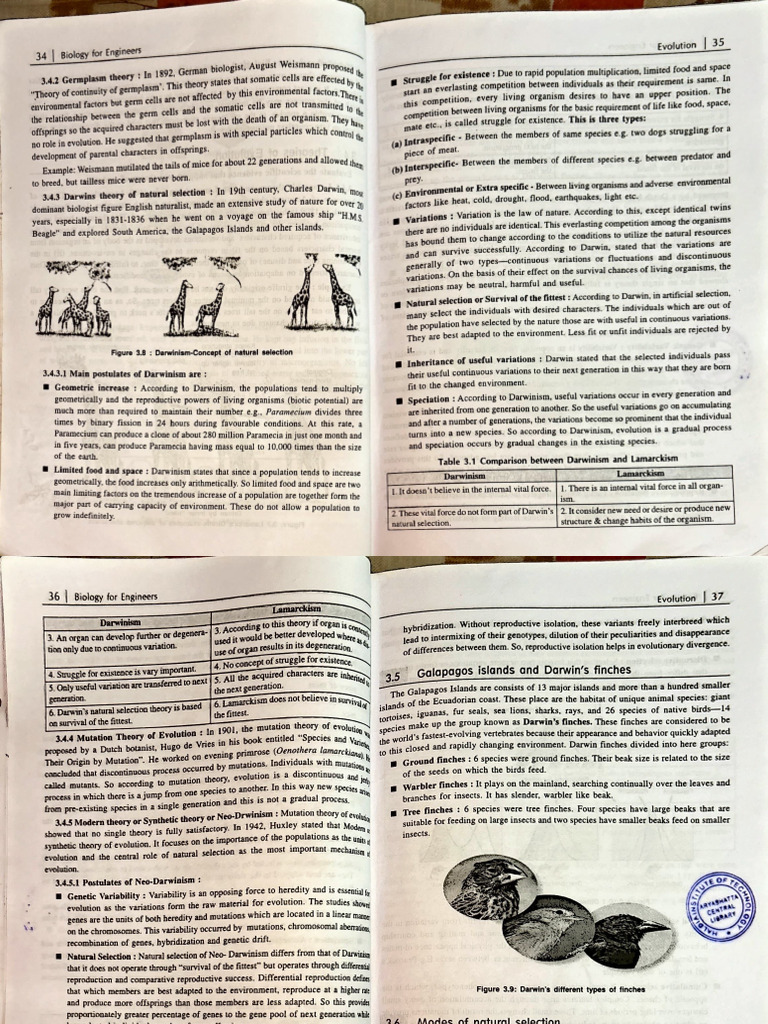 Evolution Theories: Weismann to Darwin | PDF | Evolution | Natural ...