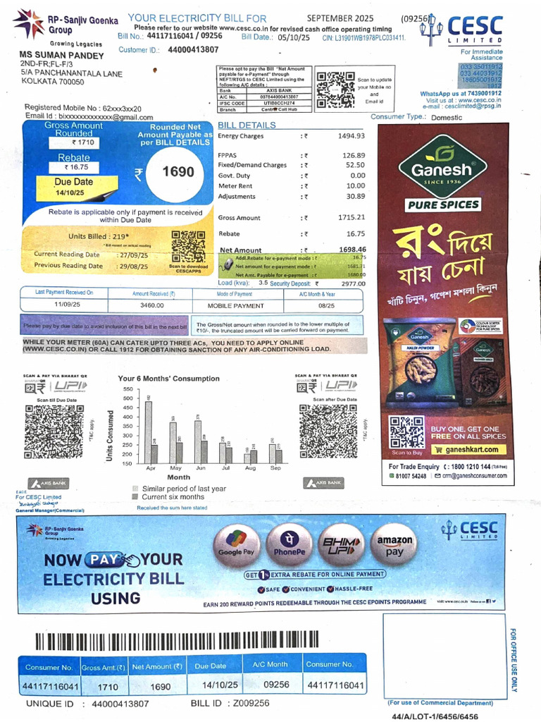 Bishal Pandey_ Electricity Bill | PDF