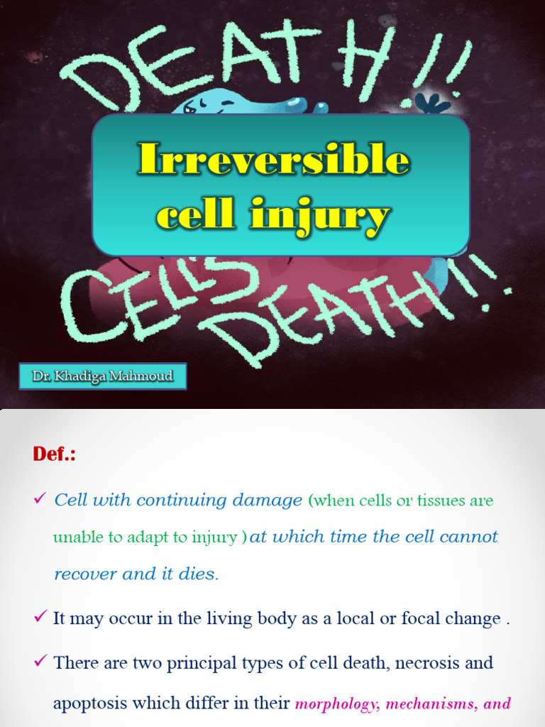 Irreversible Cell Injury Med 1- Necrosis 2024 | PDF | Necrosis ...
