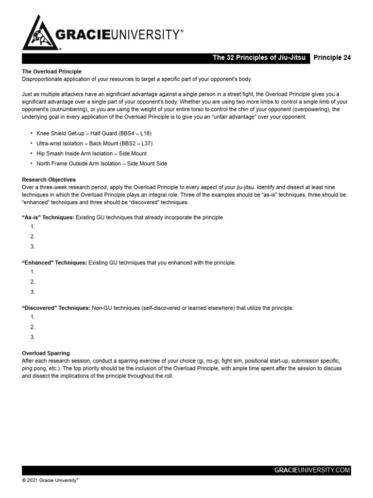 Principle 24 Overload | PDF