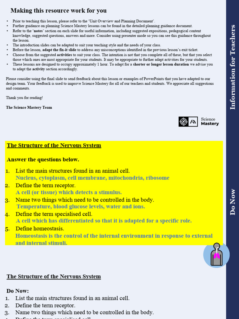 Teacher Guide: Nervous System Lesson | PDF | Neuron | Nervous System