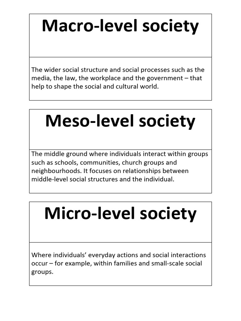 SAC Concepts cards (1) | PDF | Cognitive Development | Behavioural Sciences
