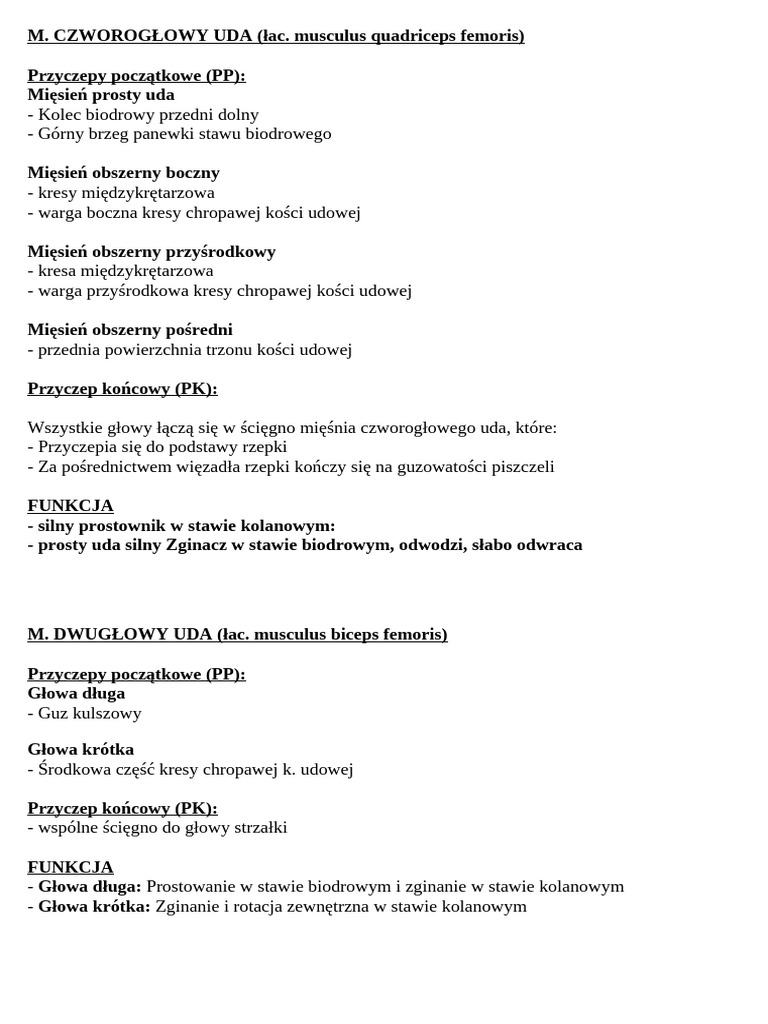 Mięśnie Uda | PDF