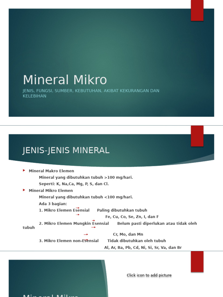 Mineral Mikro (Pengertian, Jenis, dan sumber) | PDF