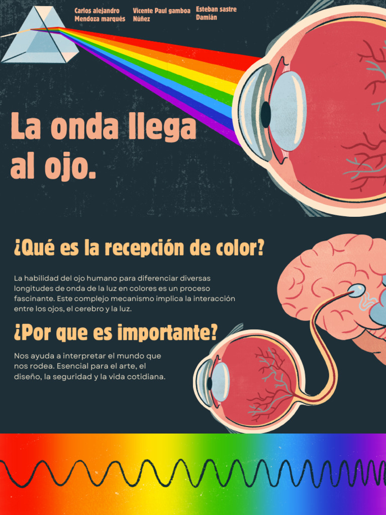 Color Perception Presentation in Blue Illustrative Style PDF | PDF ...