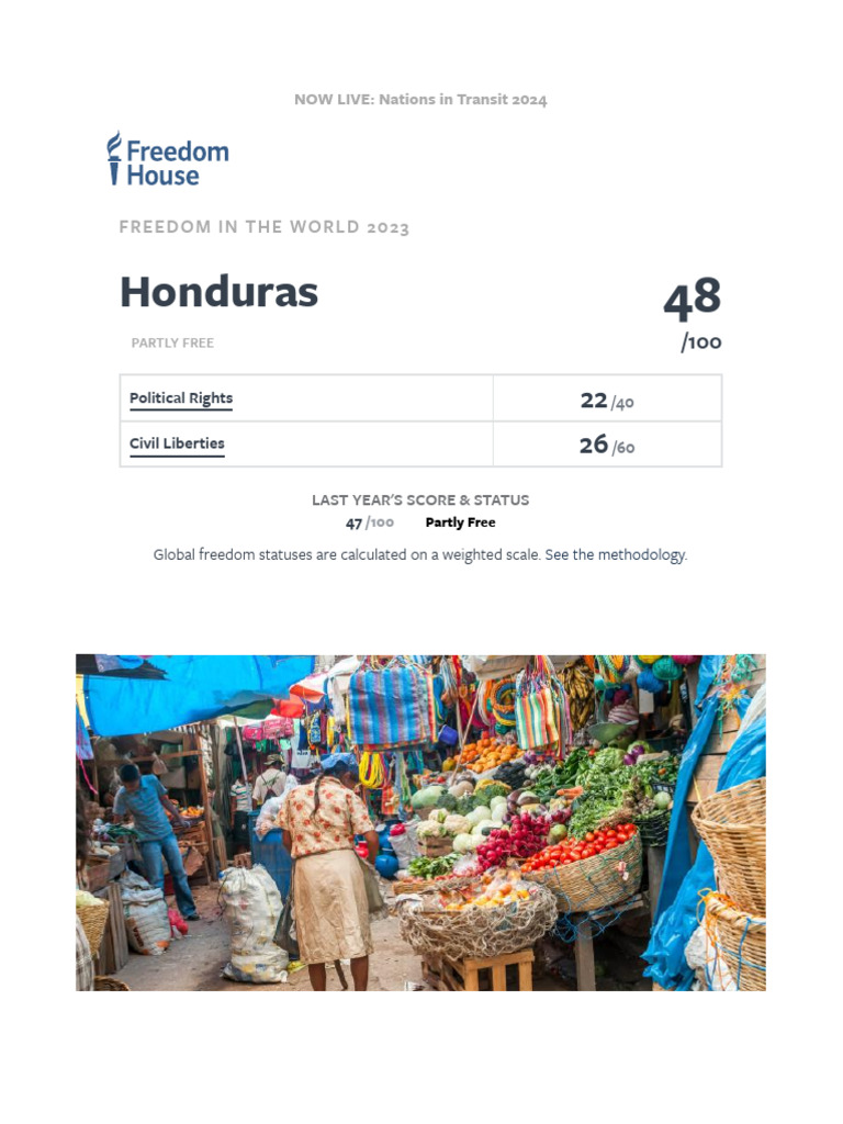 Country Conditions 4 | PDF | Honduras | Elections
