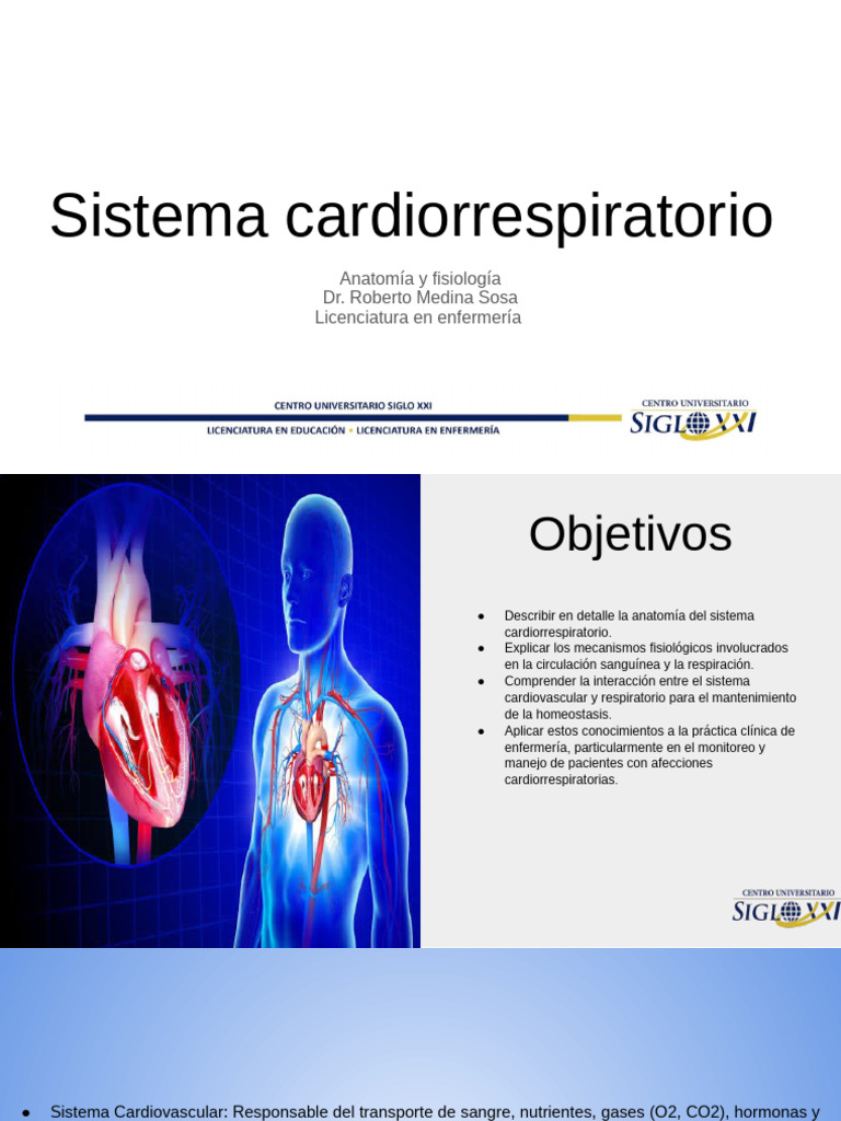 Sistema Cardiorespiratorio | PDF | Artería | Corazón