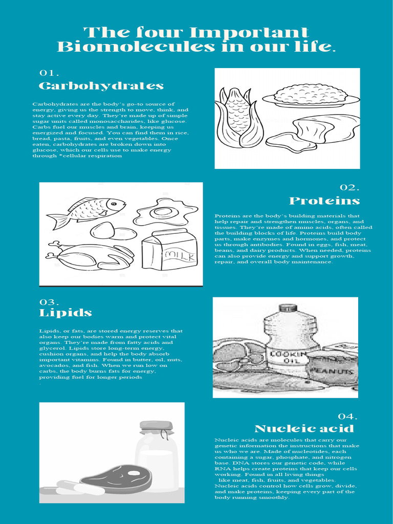 Beige and Black Influencer Modern Infographic - 20251113 - 071103 ...