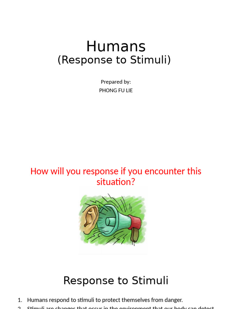 Humans Response To Stimuli | PDF