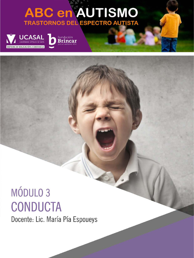 AITISMO Módulo 3 | PDF | Comportamiento | Atención