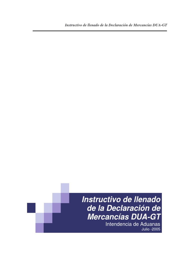 Instructivo de Llenado de La Declaracion Dua | Descargar gratis PDF ...