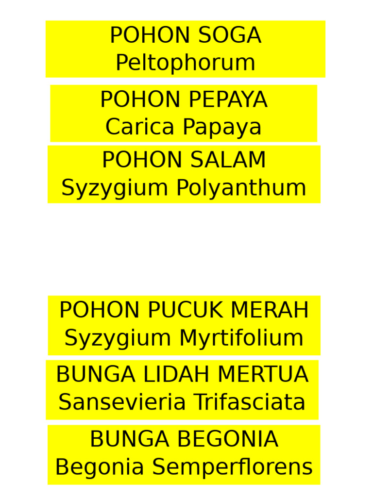 Daftar Tanaman dan Bunga Populer | PDF