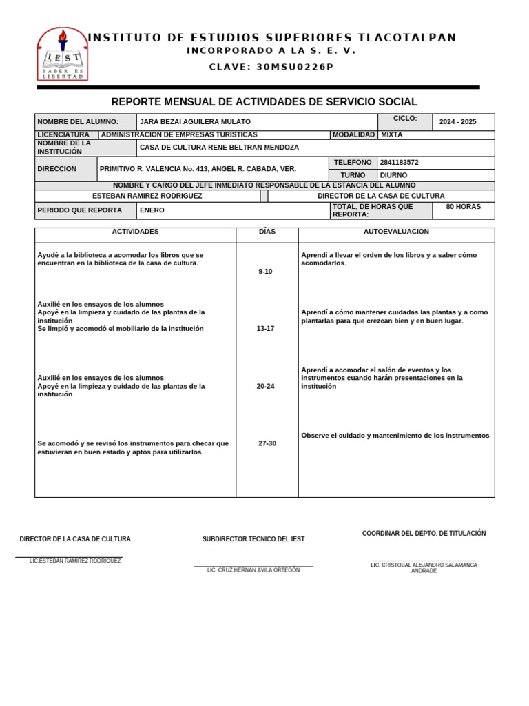 Formato de Reporte Mensual Enero | PDF