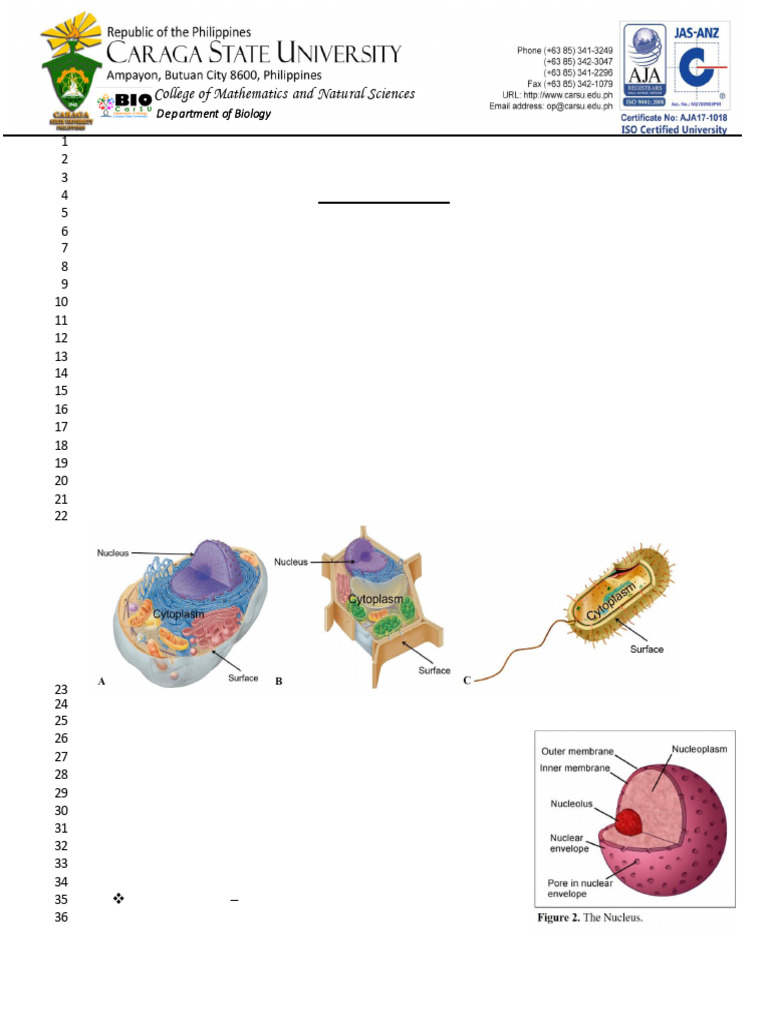 BIOL 105 - Week 2 The Cell | PDF | Cell (Biology) | Cell Nucleus