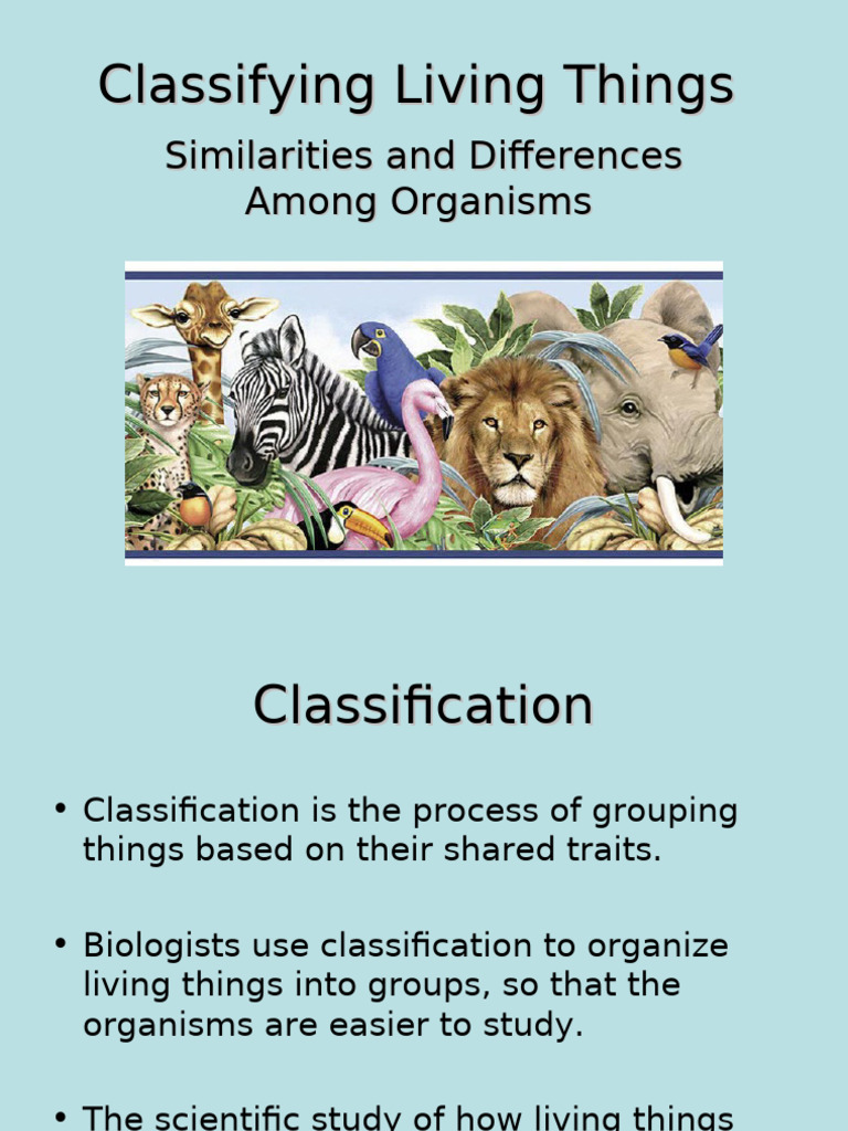 Biology Classifying Organisms | PDF | Nature | Life Sciences
