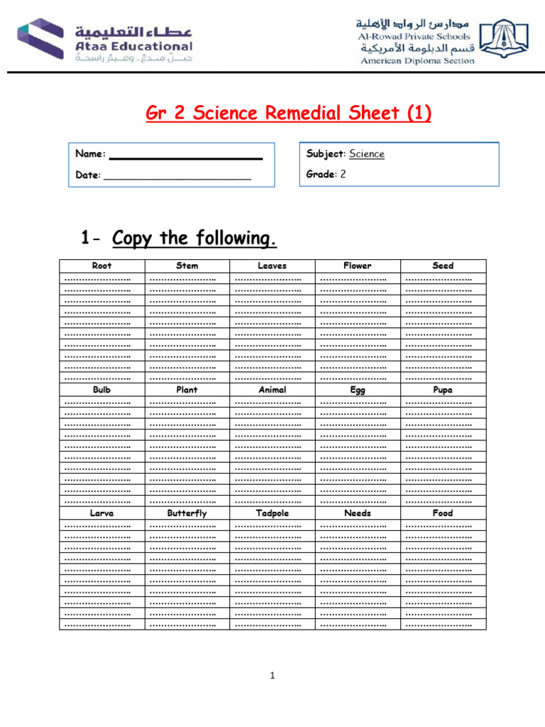 GR2 Remedial Science Sheet | PDF