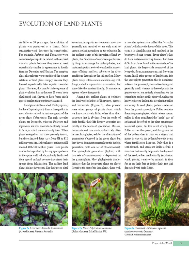 Evolution of Land Plants (From Plants Fo The World) | PDF | Plants | Botany
